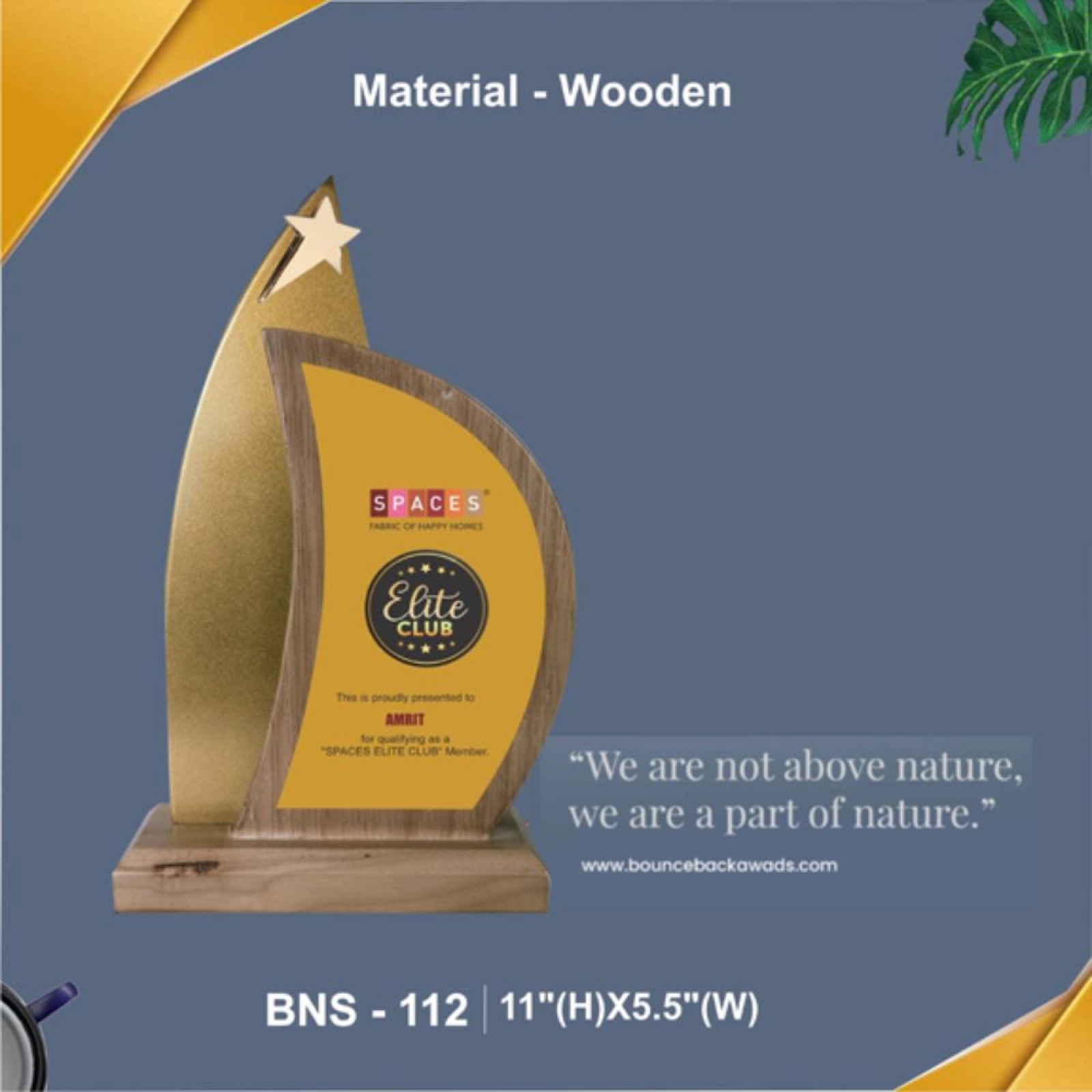 Best Trophy Manufacturer in Delhi And NCR - Benson Trophies